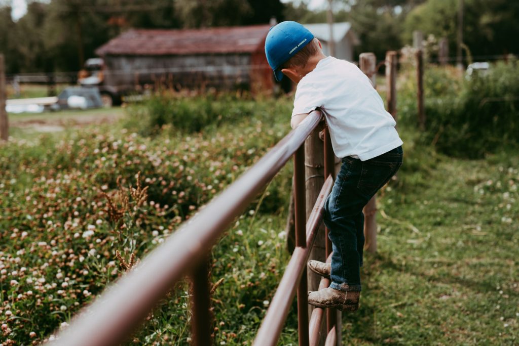 About Us - Your Way Support Services